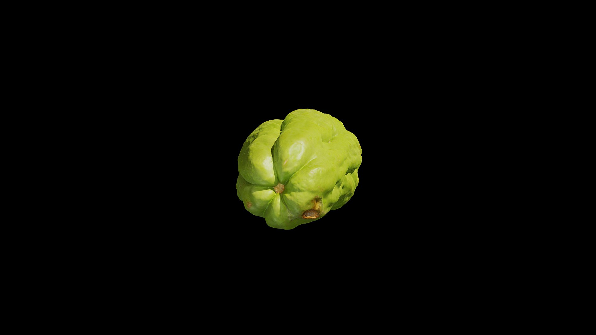 Anydrafts Sechium Edule 02 3D Model - TurboSquid 2322982