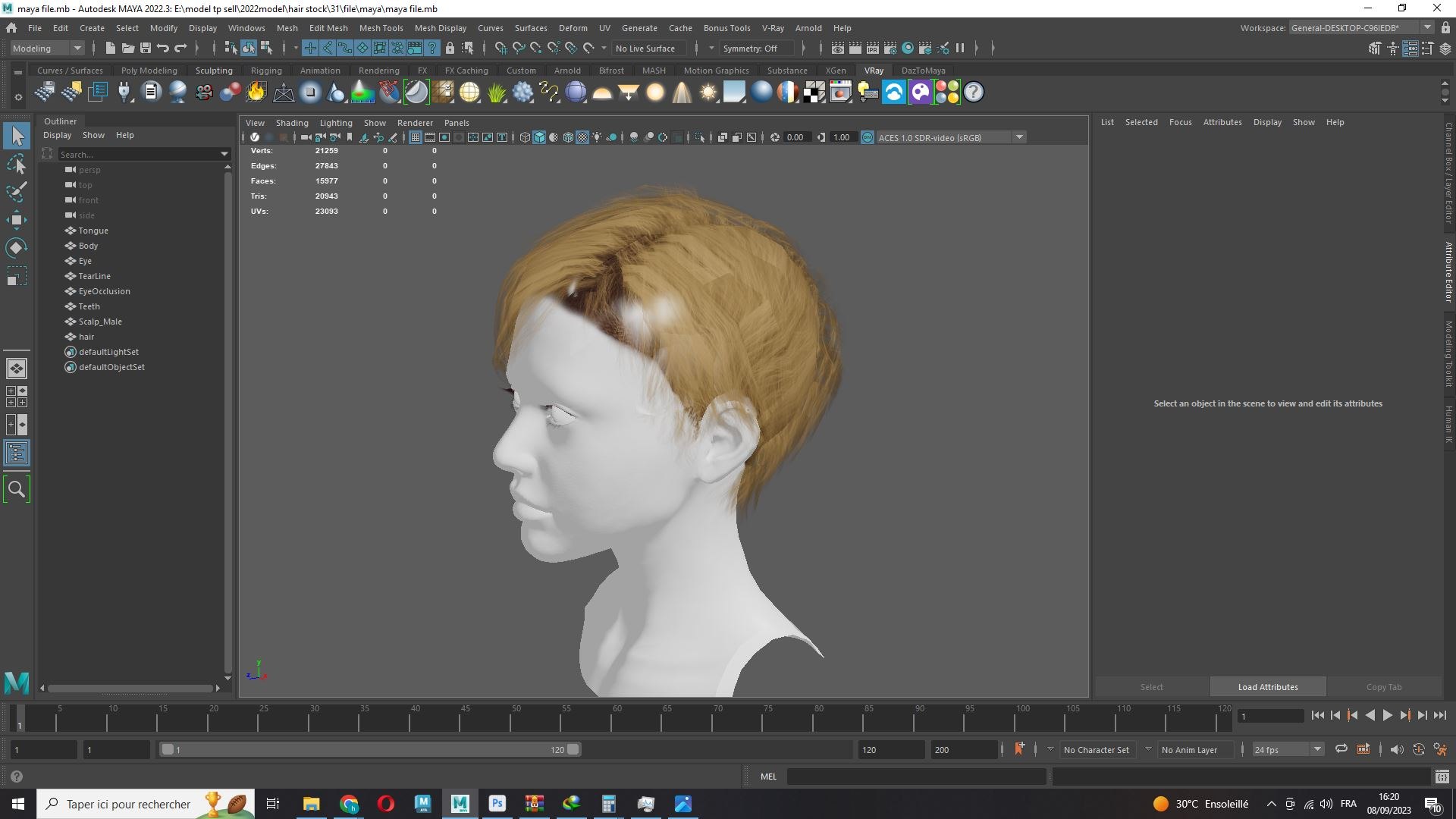 Realistic Short Female Hair Pixie 3D - TurboSquid 2133156