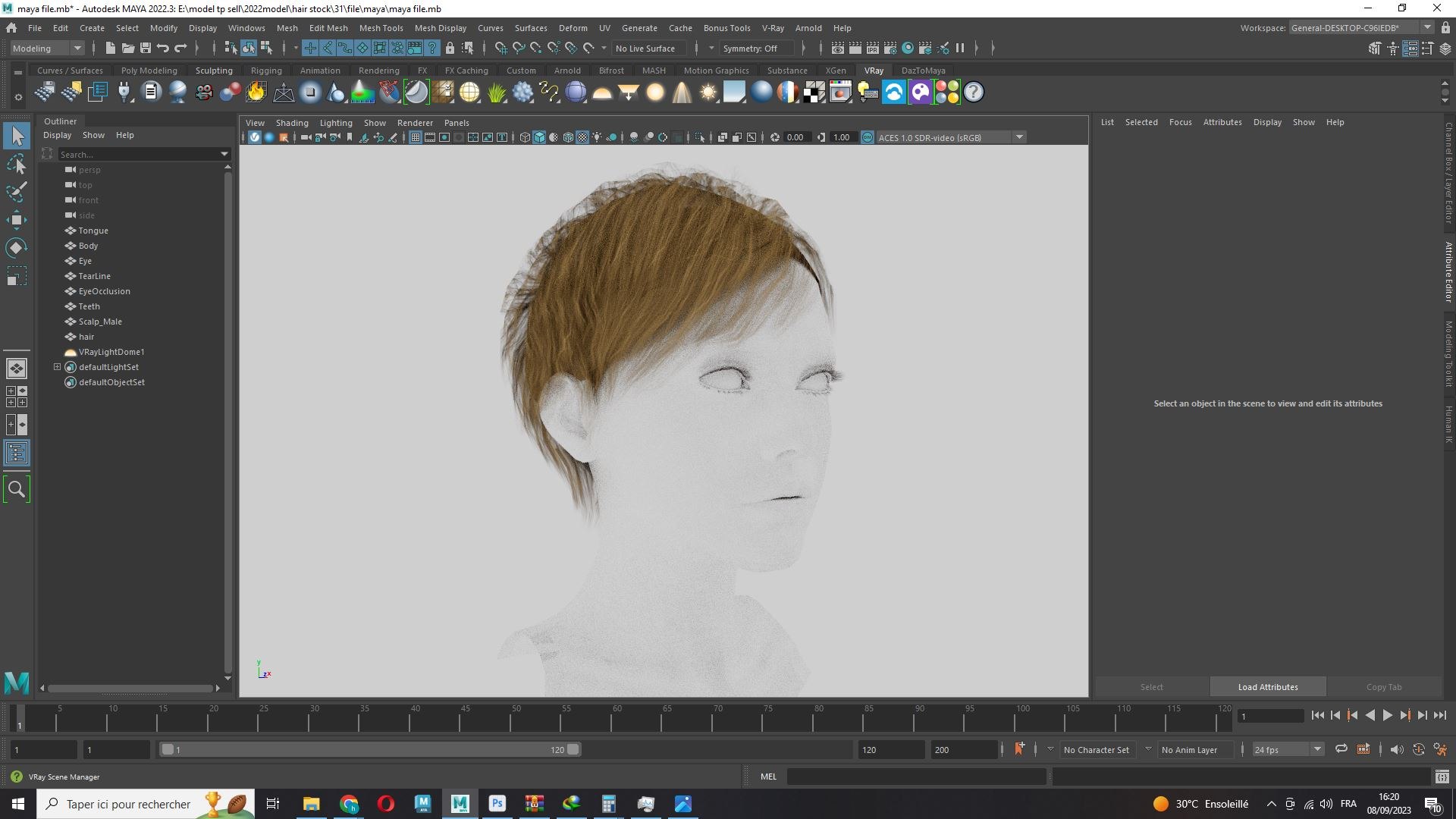 Realistic Short Female Hair Pixie 3D - TurboSquid 2133156