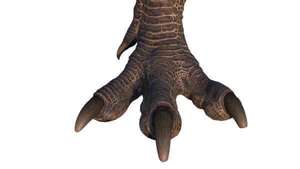 modelo 3d Tiranosaurio modelo 3d - TurboSquid 2218910