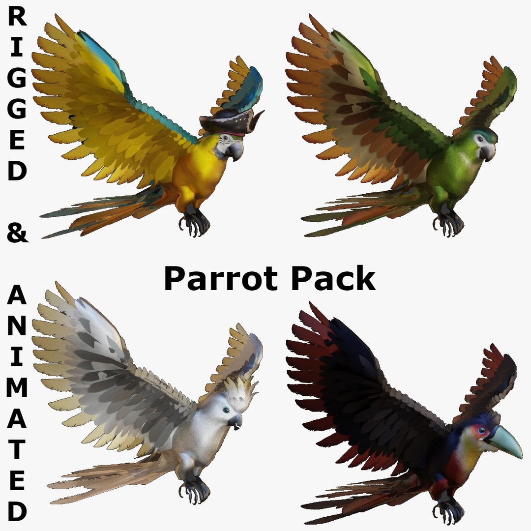 3D model Parrot Pack of 7 Rigged - TurboSquid 2076915