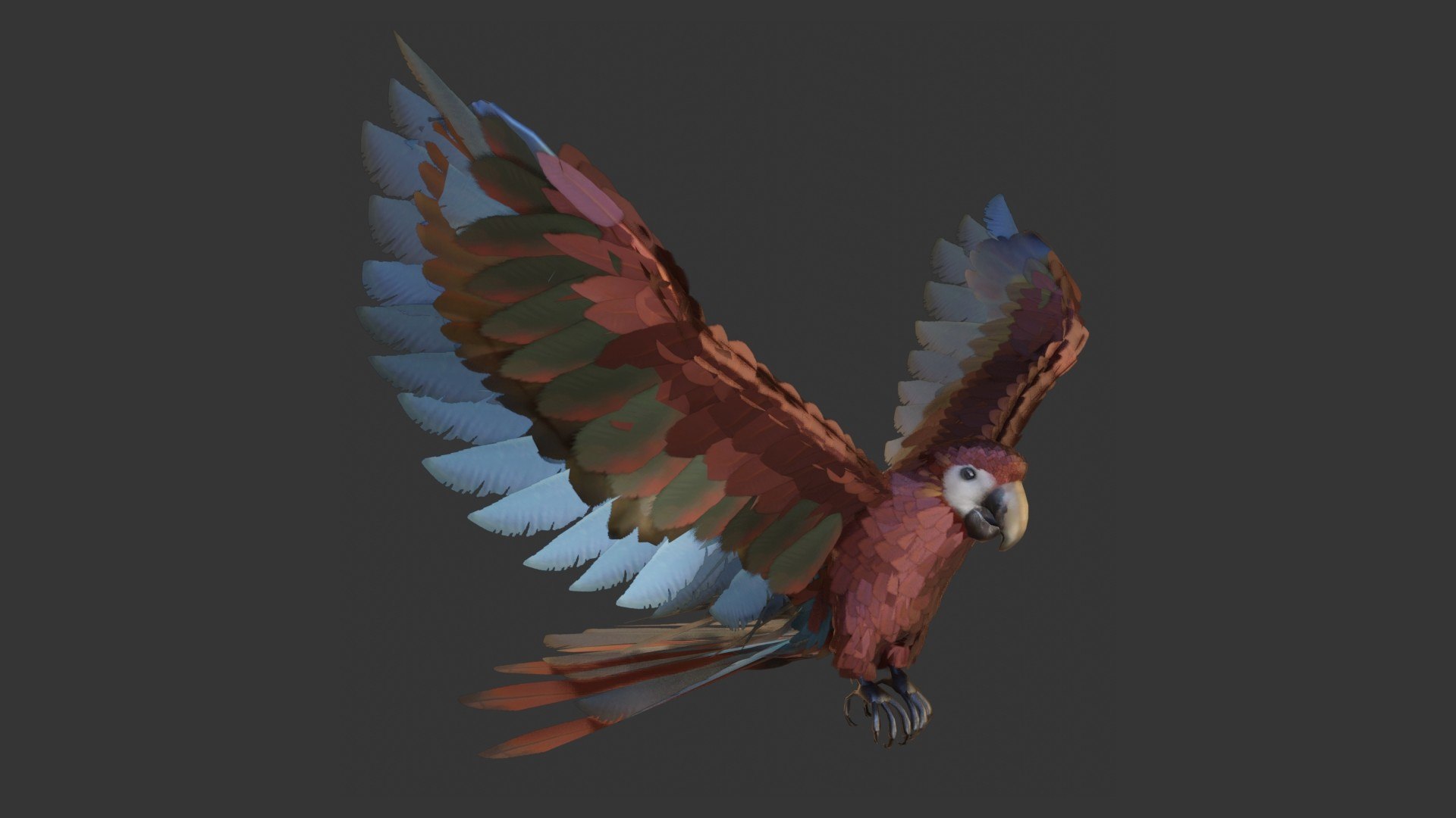 3D model Parrot Pack of 7 Rigged - TurboSquid 2076915
