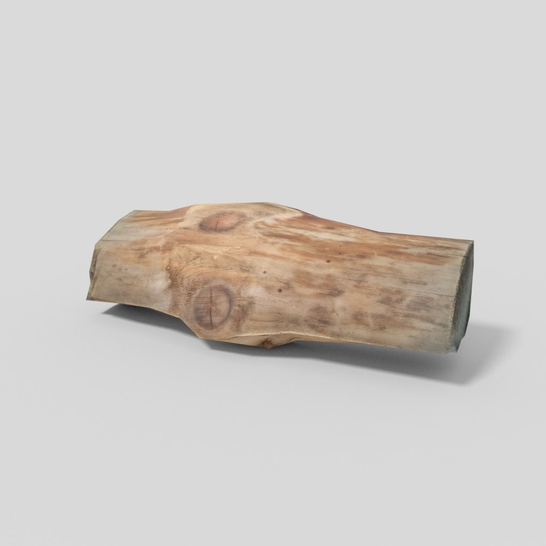 Wood Log 3D Model - TurboSquid 1256073