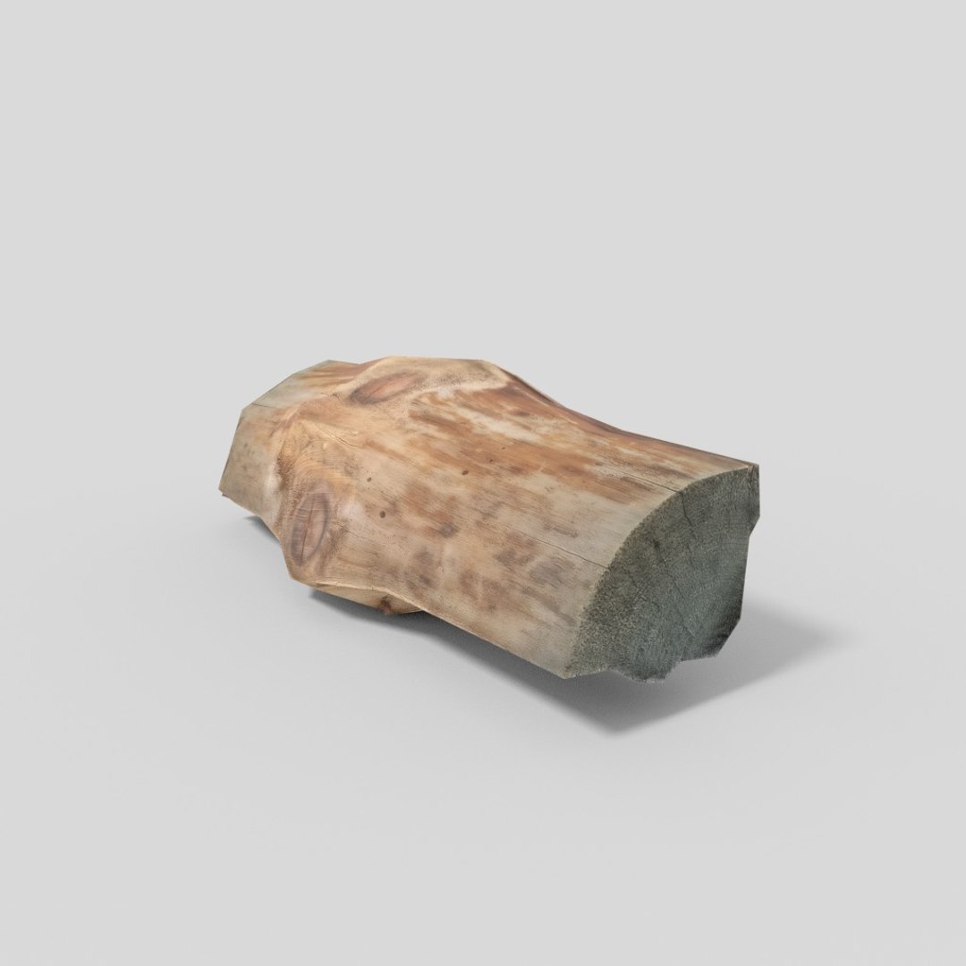 Wood Log 3D Model - TurboSquid 1256073