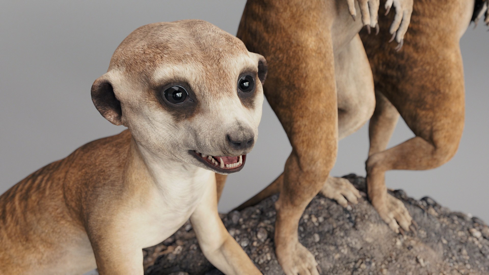 Meerkat Rigged 3D Model - TurboSquid 2194147