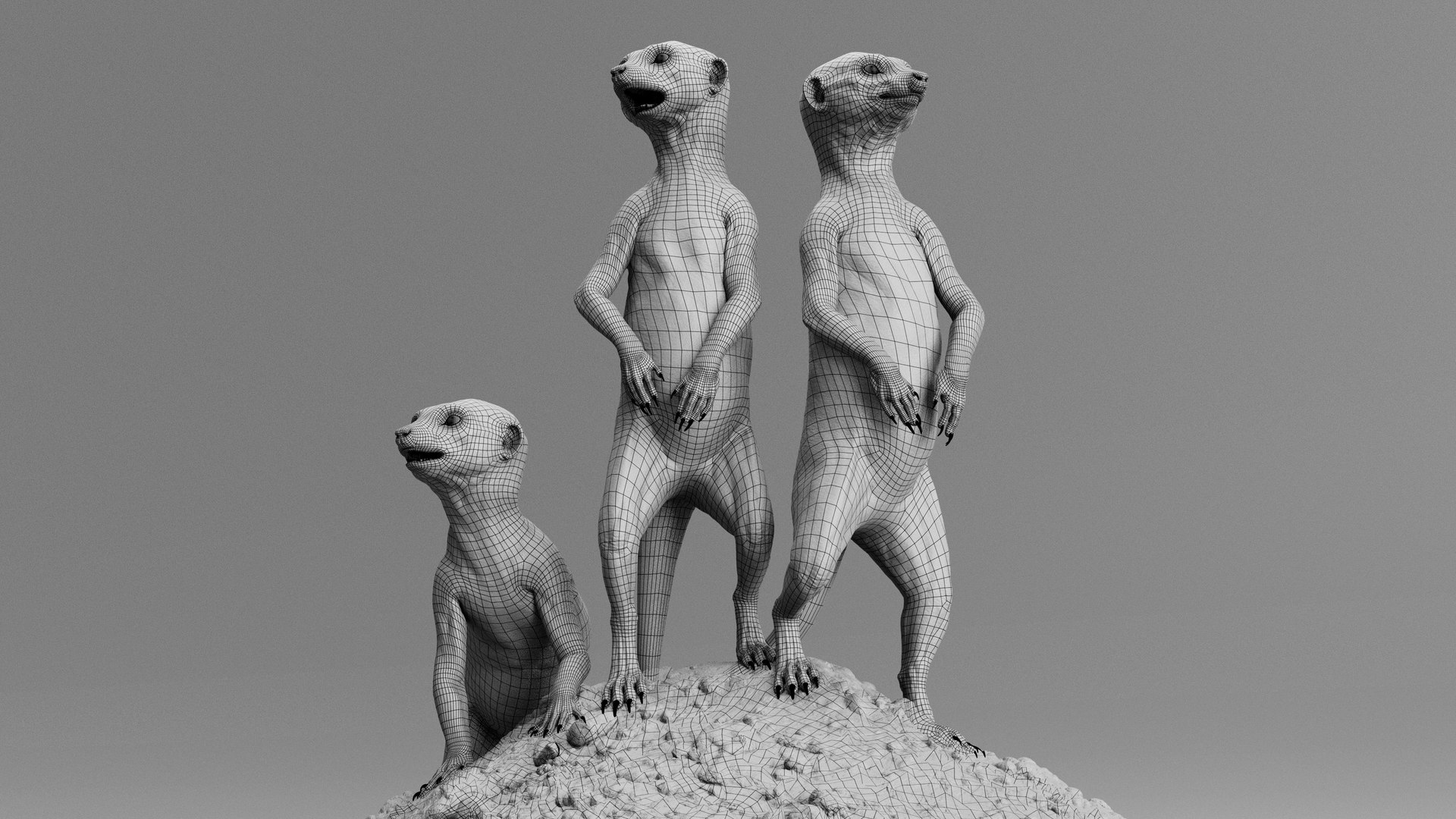 Meerkat Rigged 3D Model - TurboSquid 2194147