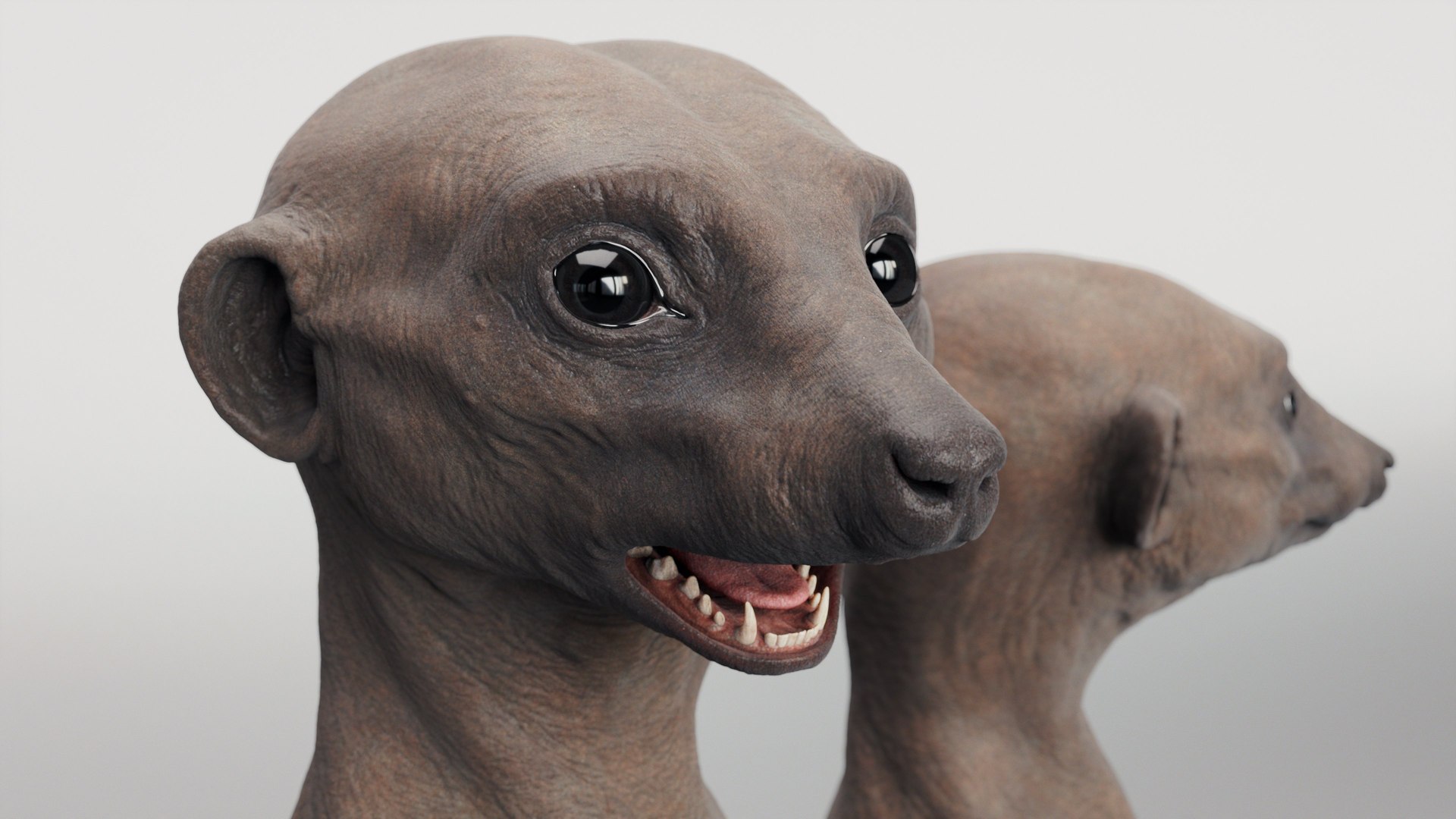 Meerkat Rigged 3D Model - TurboSquid 2194147
