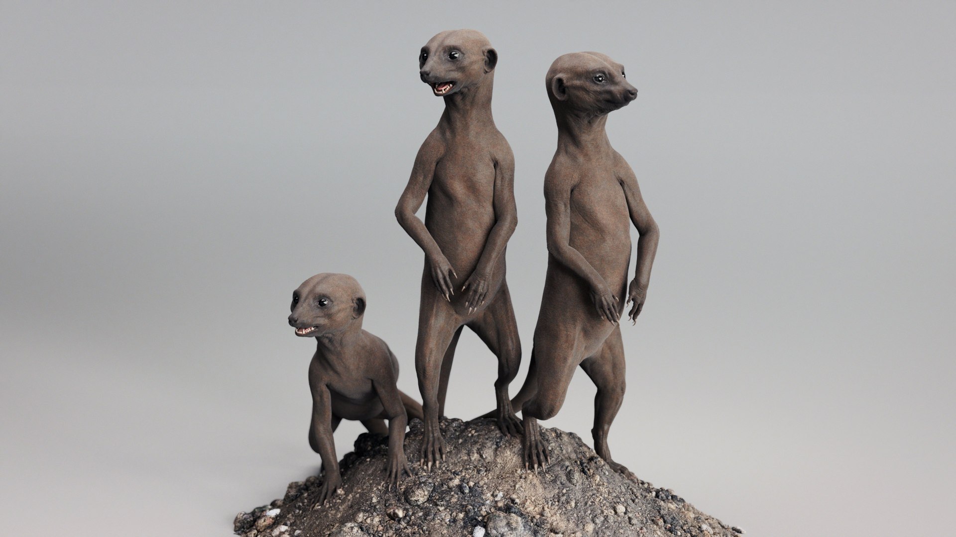 Meerkat Rigged 3D Model - TurboSquid 2194147