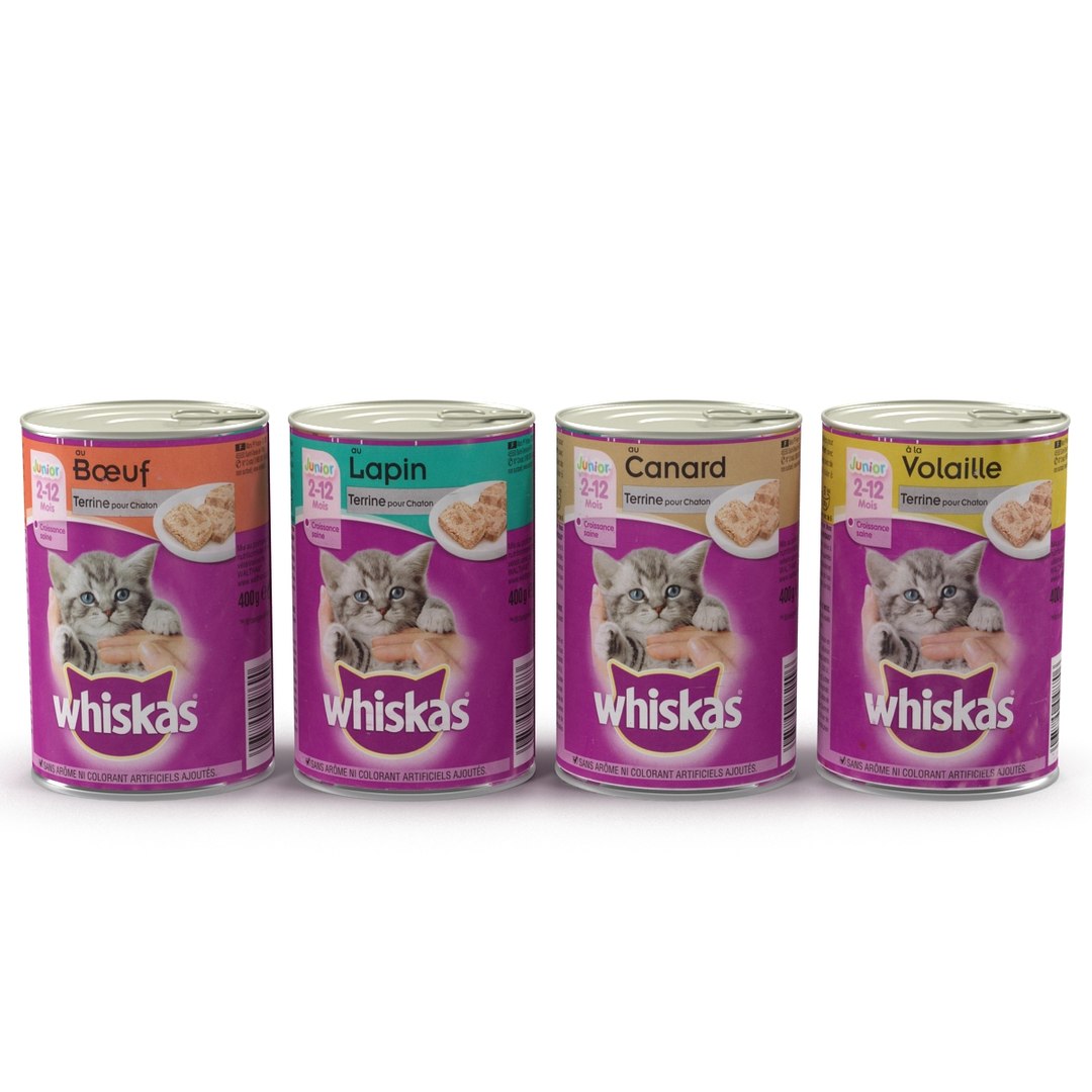 Cat Food 3d Model