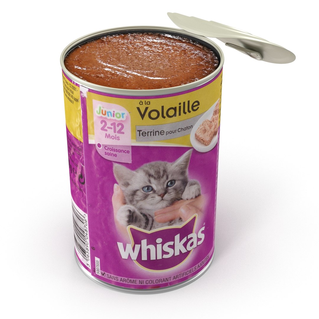 Cat Food 3d Model