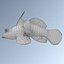 3d Model Fish Shark Whale