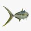3d Model Fish Shark Whale