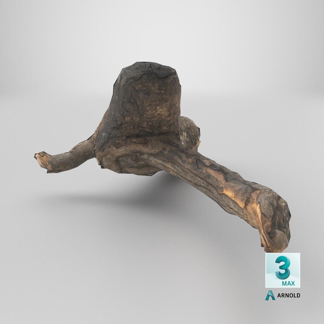 Branch Scanned 3 StemCell 3D Model - TurboSquid 2280887