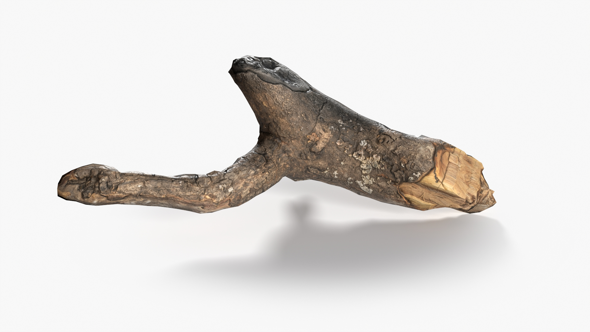 Branch Scanned 3 StemCell 3D Model - TurboSquid 2280887