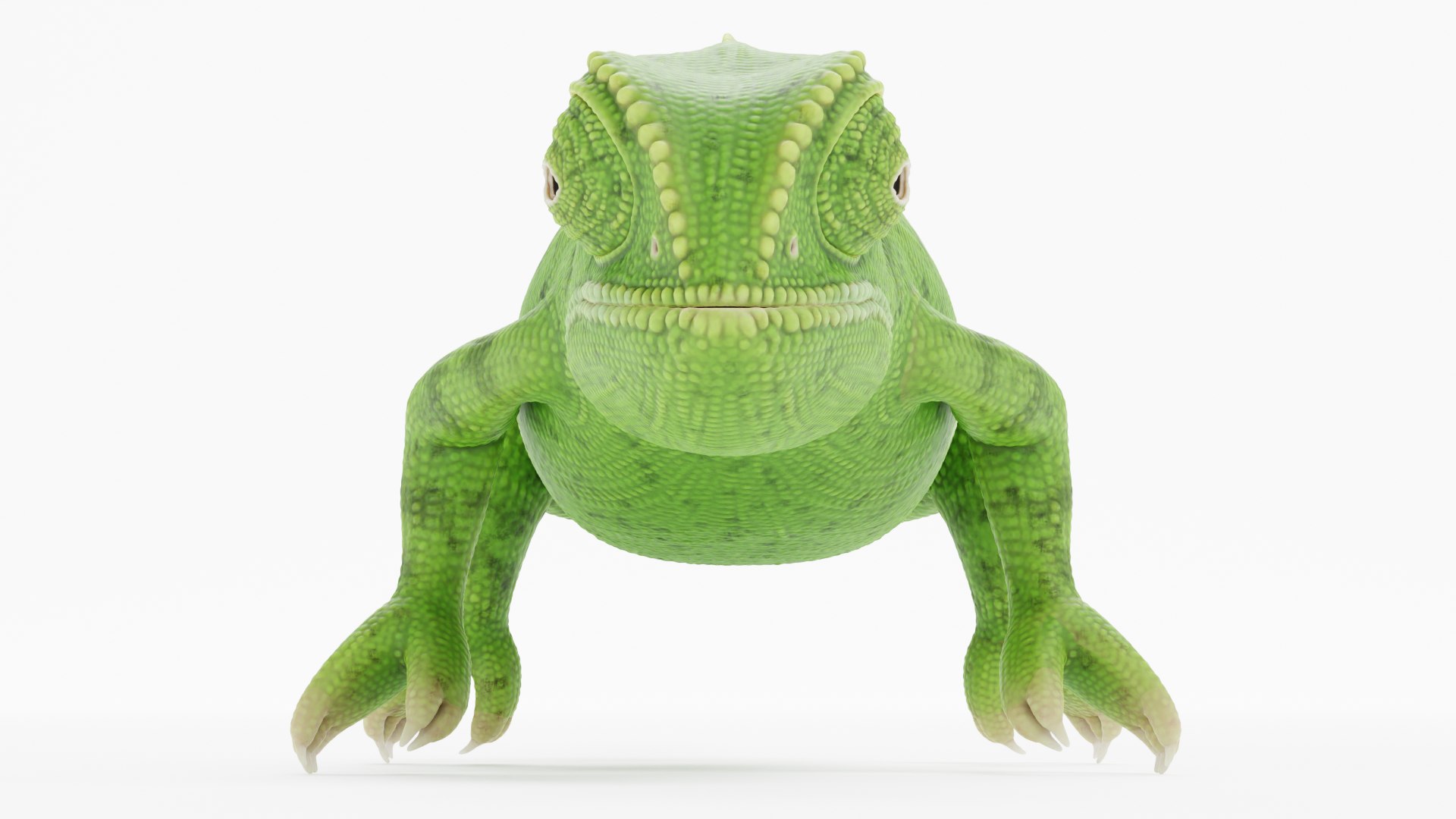 3D model Flap Necked Chameleon - TurboSquid 1927461