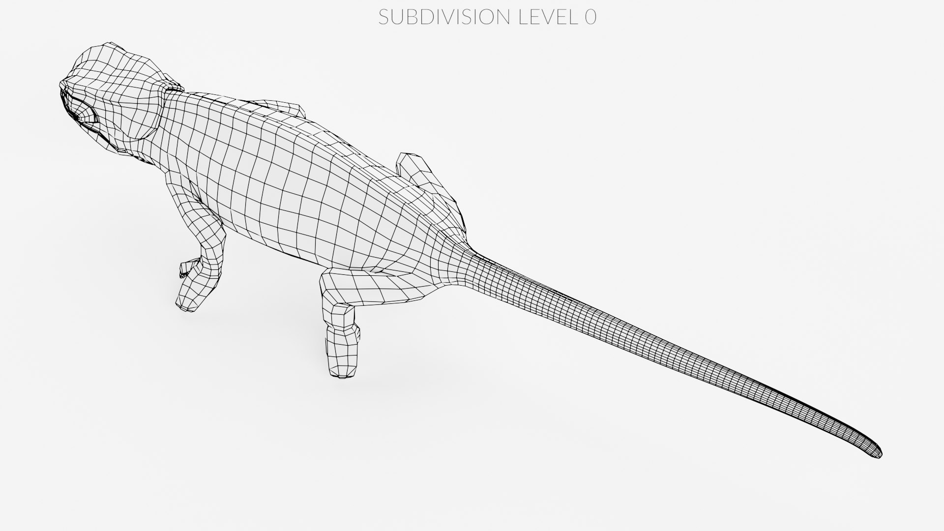 3D model Flap Necked Chameleon - TurboSquid 1927461