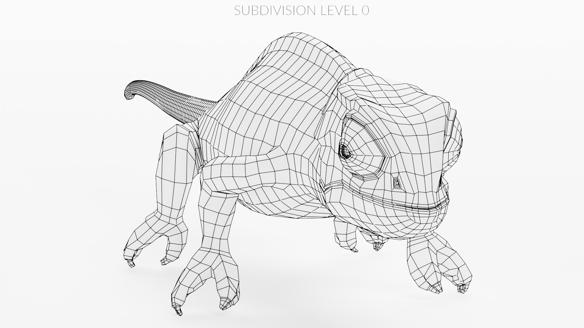 3D model Flap Necked Chameleon - TurboSquid 1927461