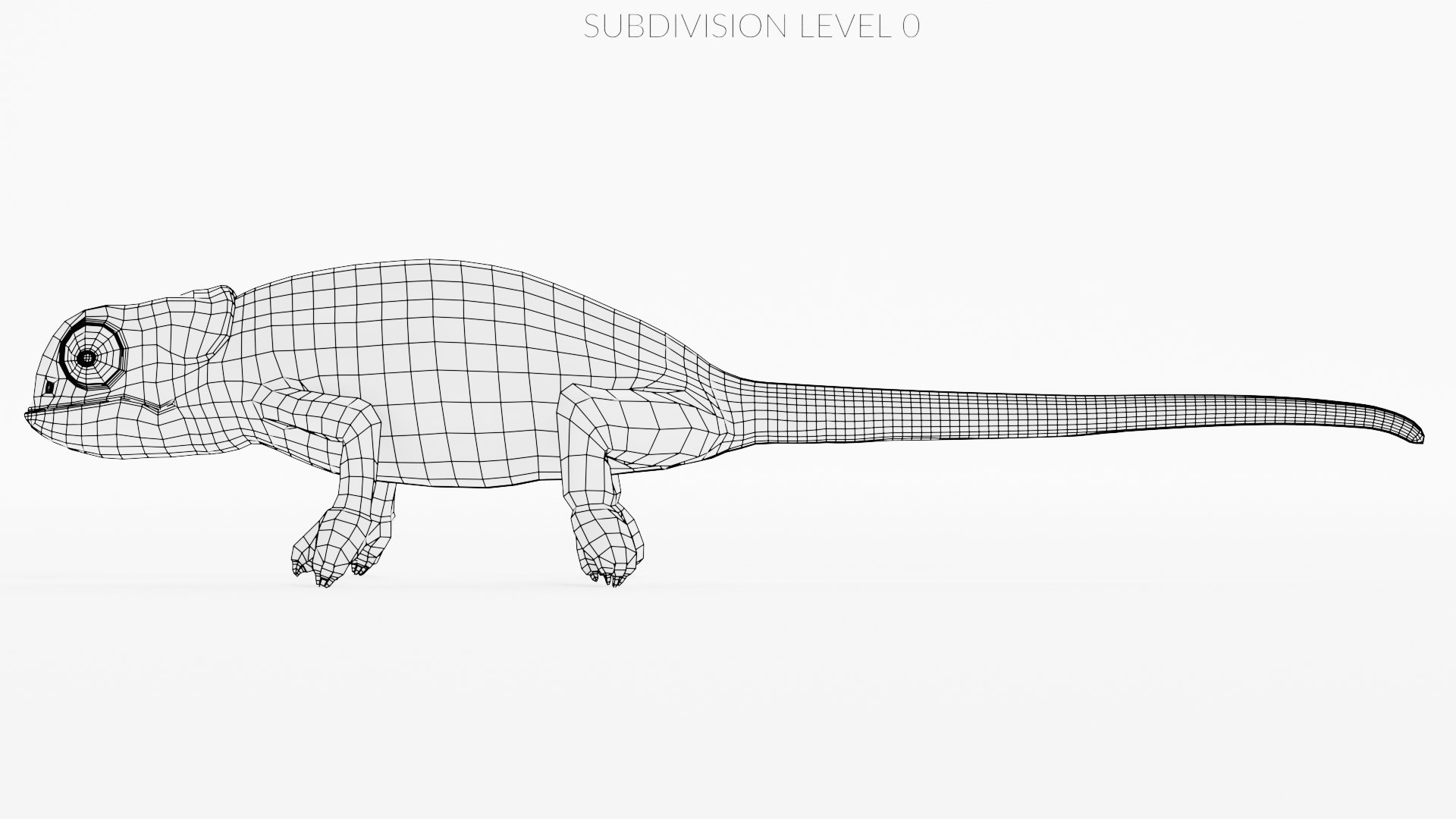 3D model Flap Necked Chameleon - TurboSquid 1927461