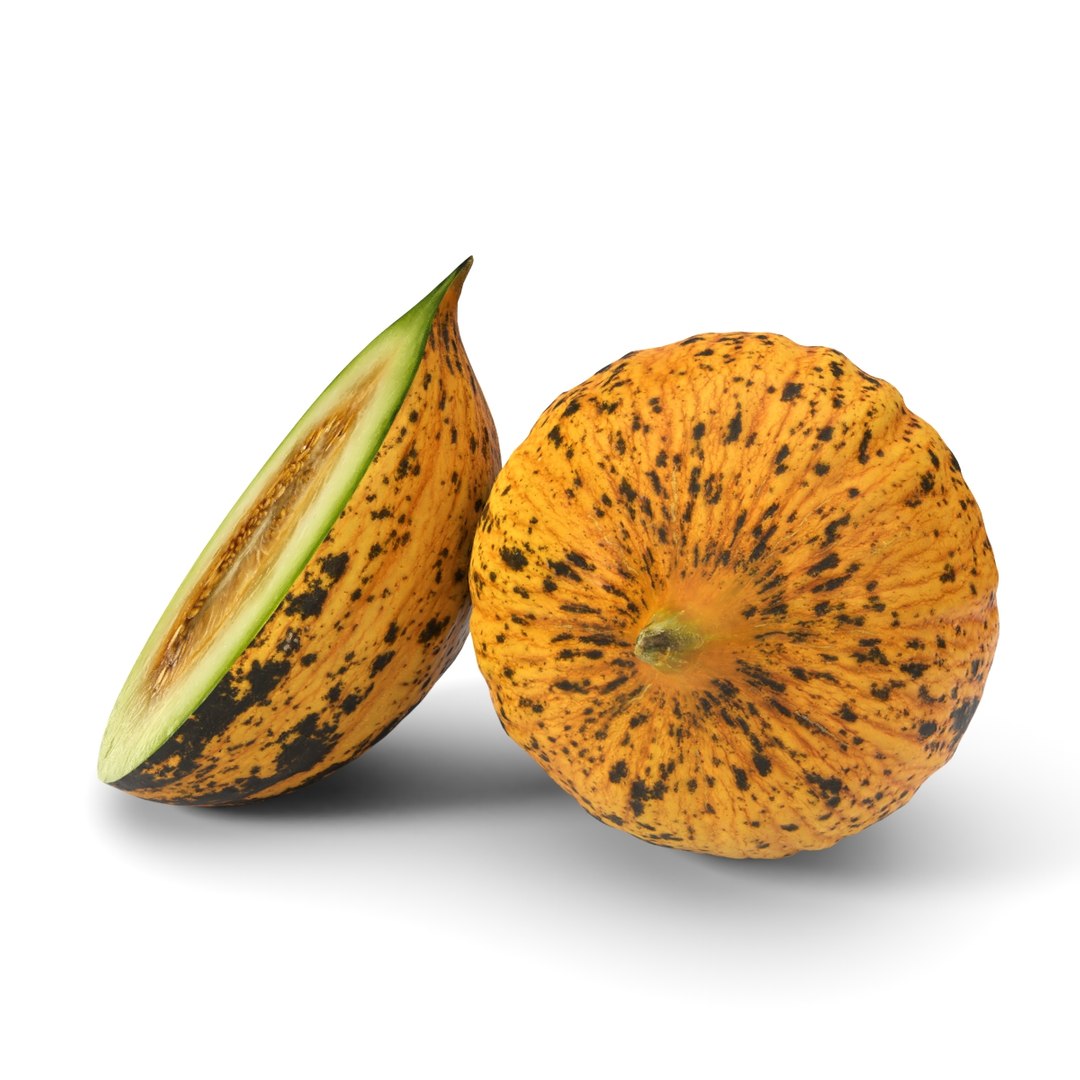 3D Realistic Melon 2 Model - TurboSquid 1319049