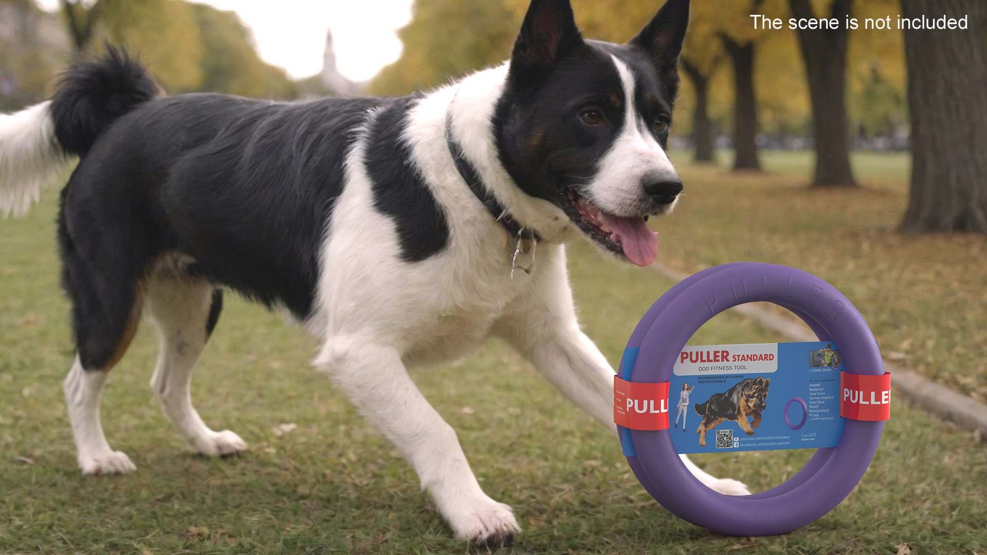 Dog Puller Standart Fitness Tool Package 3D - TurboSquid 2274186