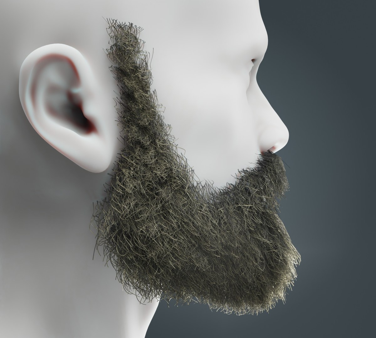 Beard RealTime 17 Version 2 3D - TurboSquid 1892390