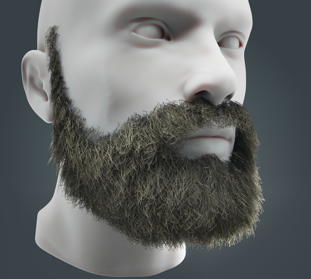 Beard RealTime 17 Version 2 3D - TurboSquid 1892390