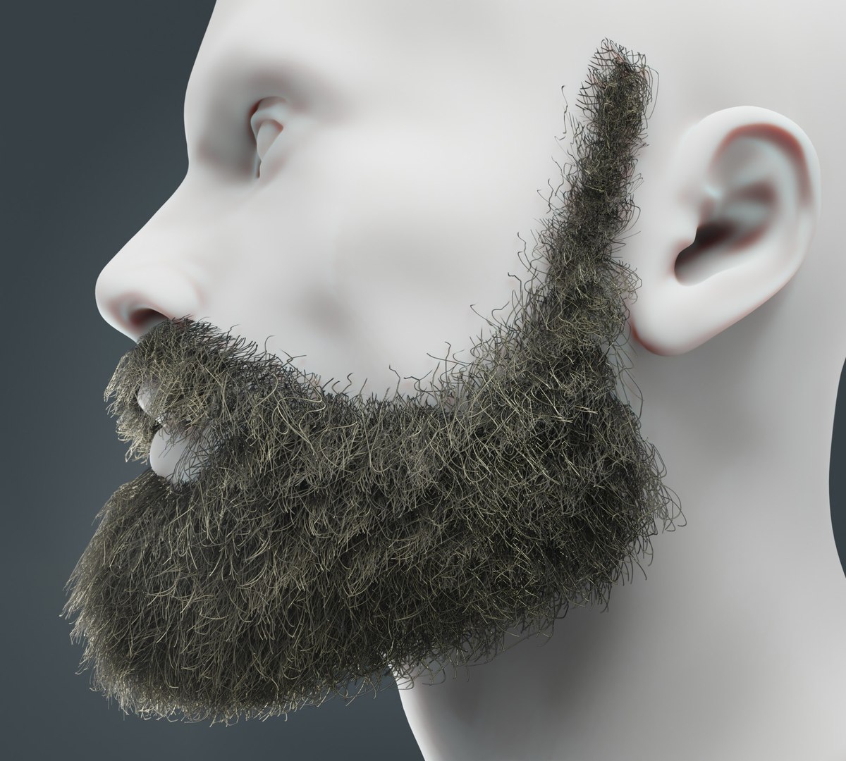 Beard RealTime 17 Version 2 3D - TurboSquid 1892390