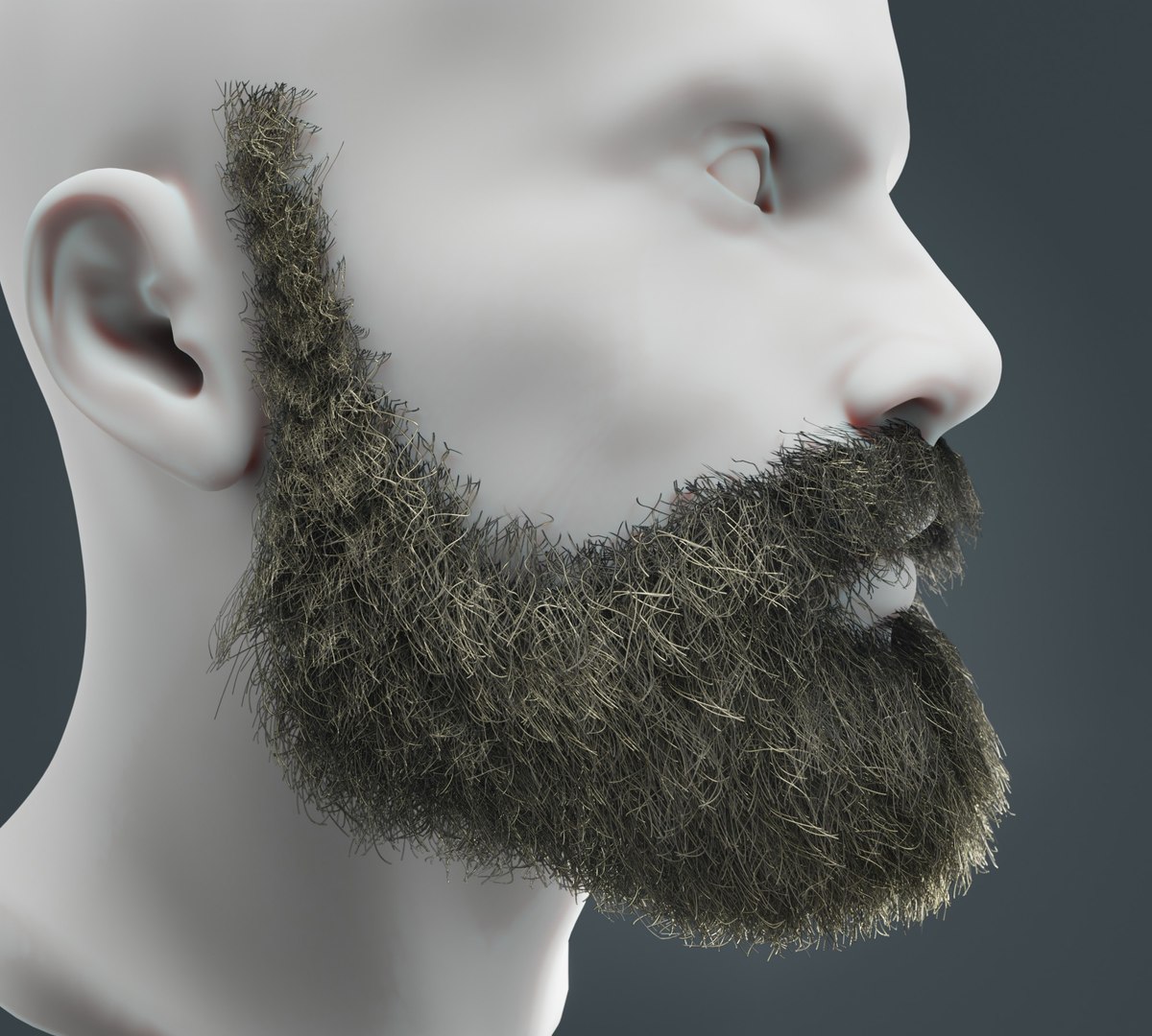 Beard RealTime 17 Version 2 3D - TurboSquid 1892390