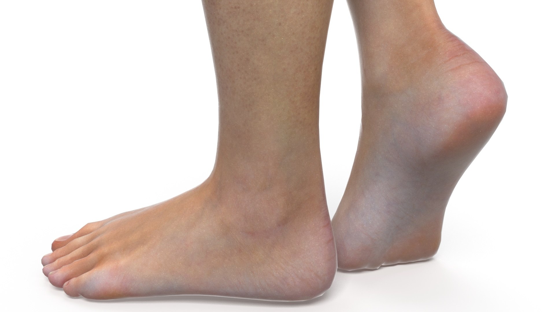 Realistic Female Lower Legs And Feet 3D - TurboSquid 2274486