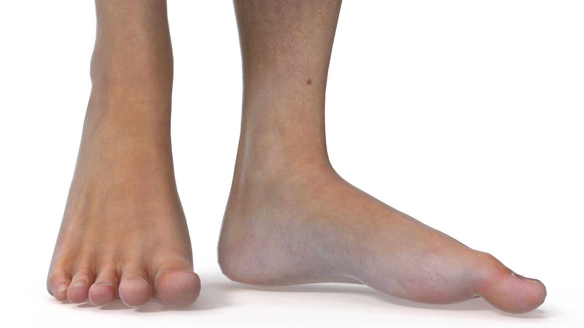 Realistic Female Lower Legs And Feet 3D - TurboSquid 2274486