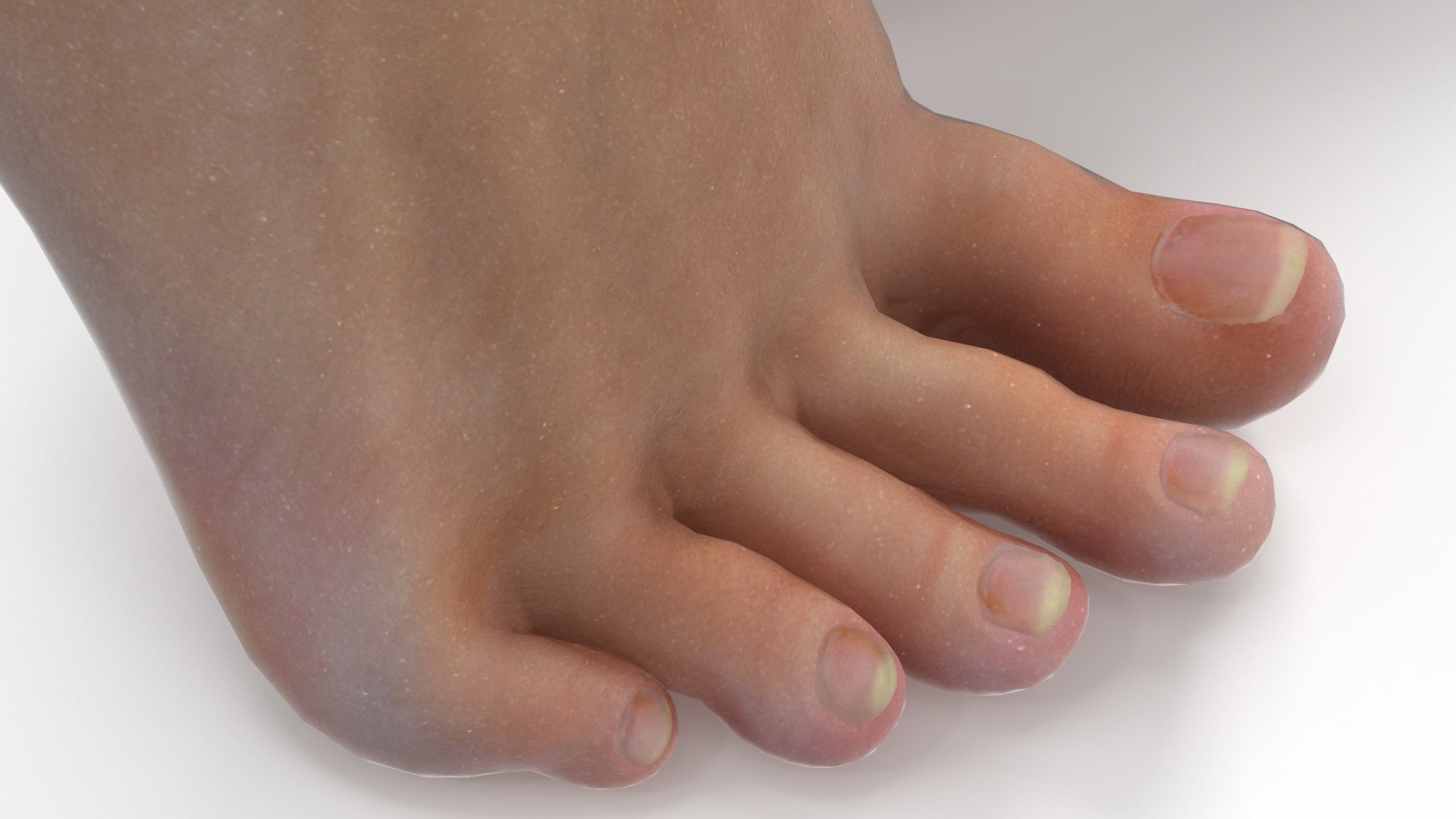 Realistic Female Lower Legs And Feet 3D - TurboSquid 2274486