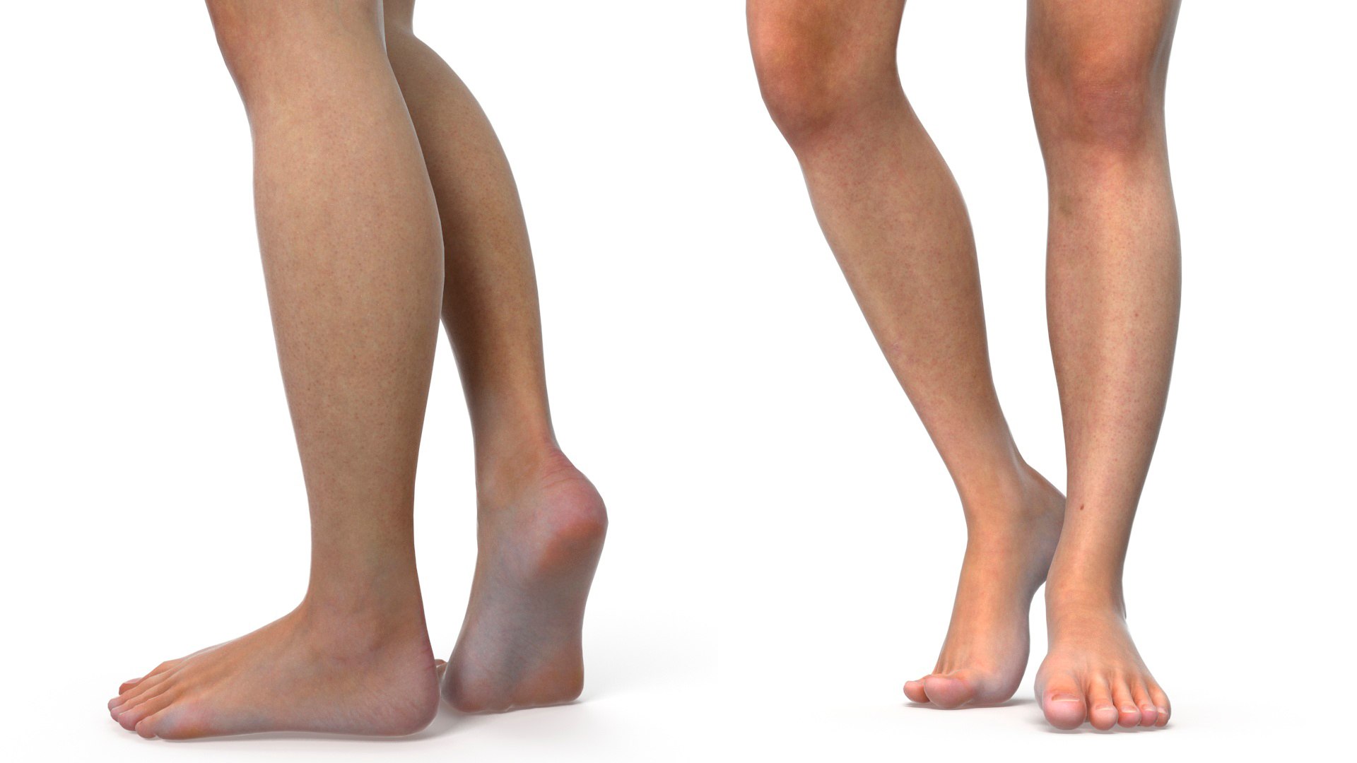 Realistic Female Lower Legs And Feet 3D - TurboSquid 2274486