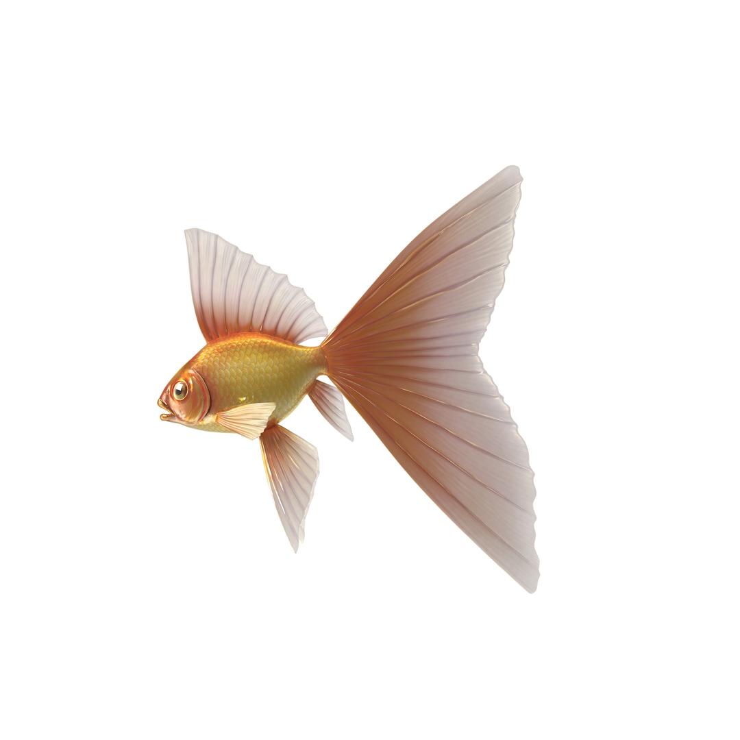 Fish gold fantasy model - TurboSquid 1311945