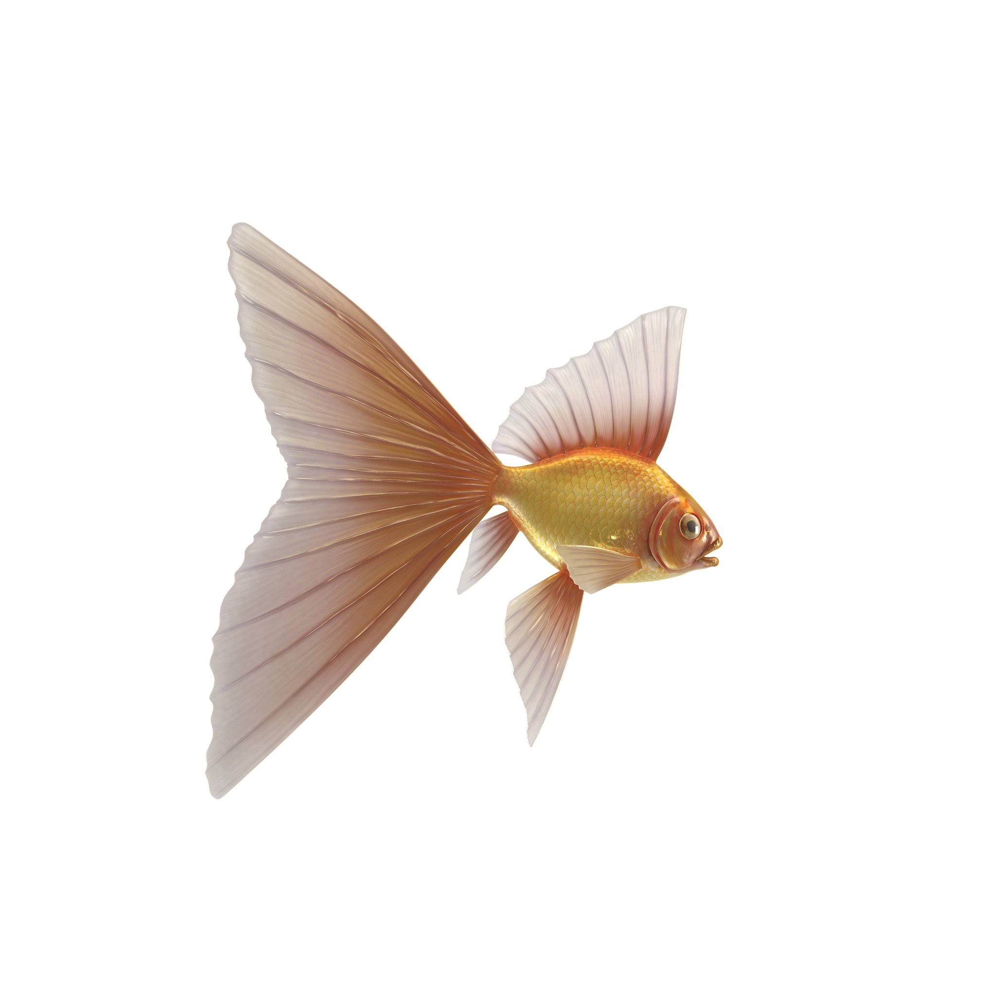 Fish gold fantasy model - TurboSquid 1311945