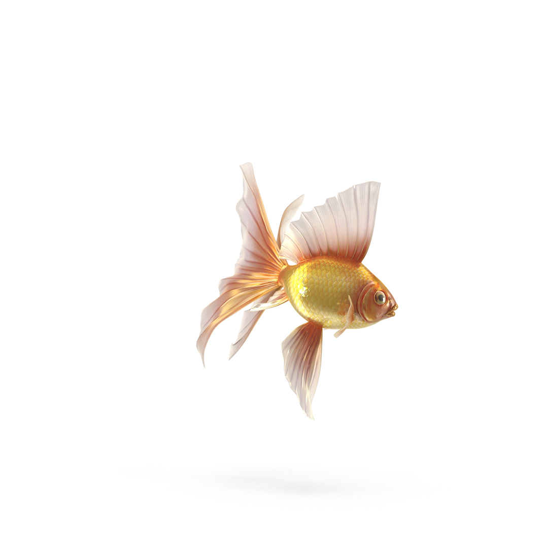 Fish gold fantasy model - TurboSquid 1311945