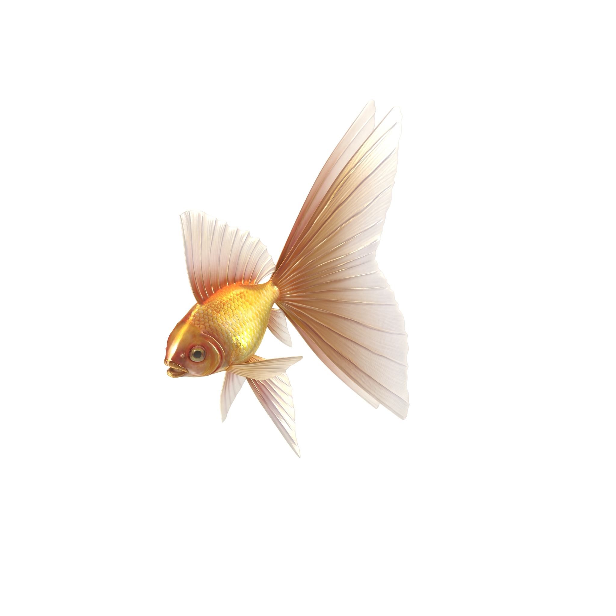 Fish gold fantasy model - TurboSquid 1311945