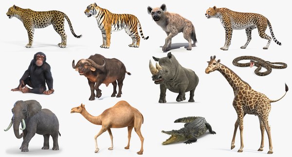 Rigged African Animals Collection 9 3D - TurboSquid 1725681