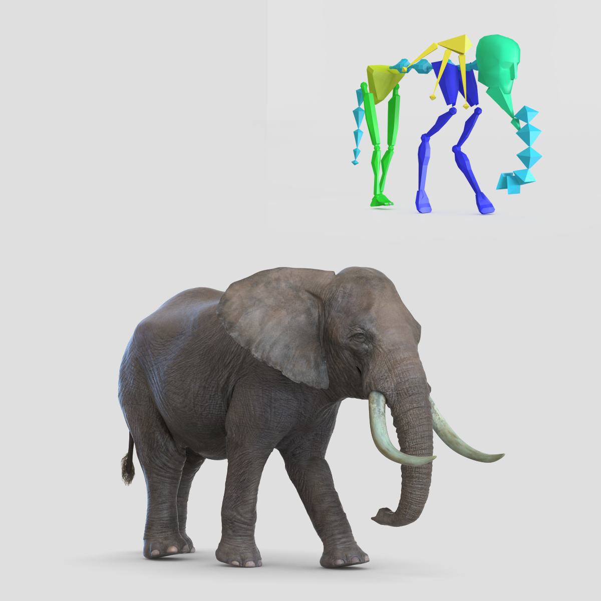 Rigged African Animals Collection 9 3D - TurboSquid 1725681