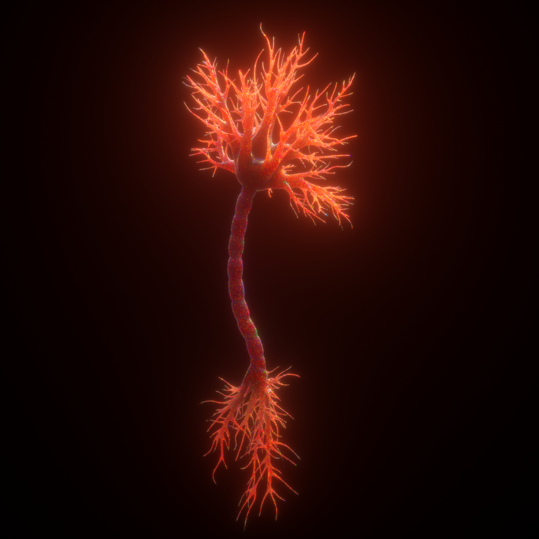 3D Neuron Human Anatomy Model - TurboSquid 1387424