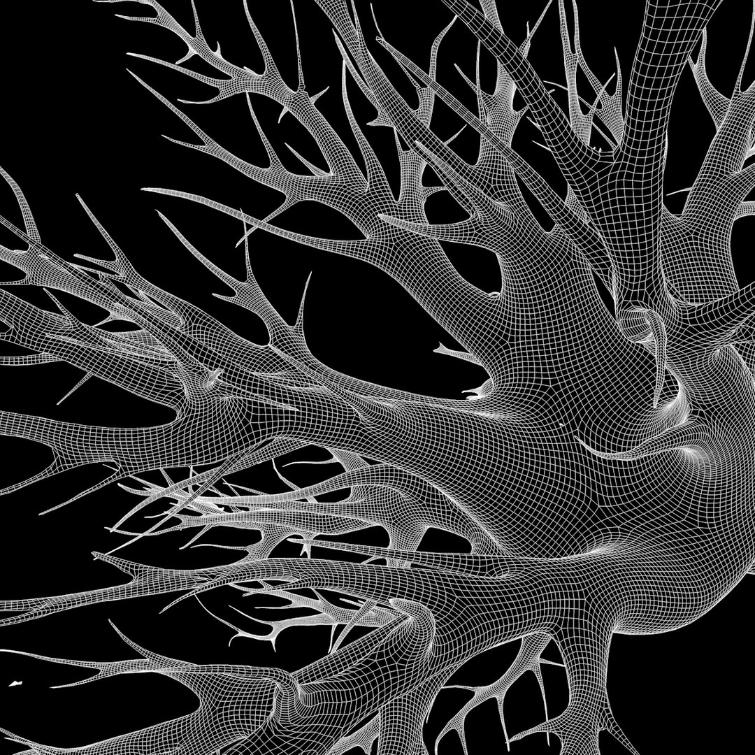 3D Neuron Human Anatomy Model - TurboSquid 1387424