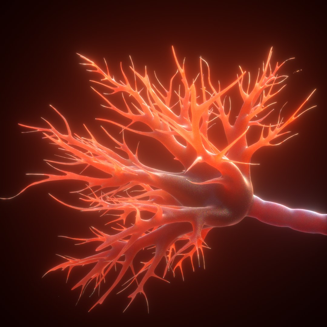 3D Neuron Human Anatomy Model - TurboSquid 1387424