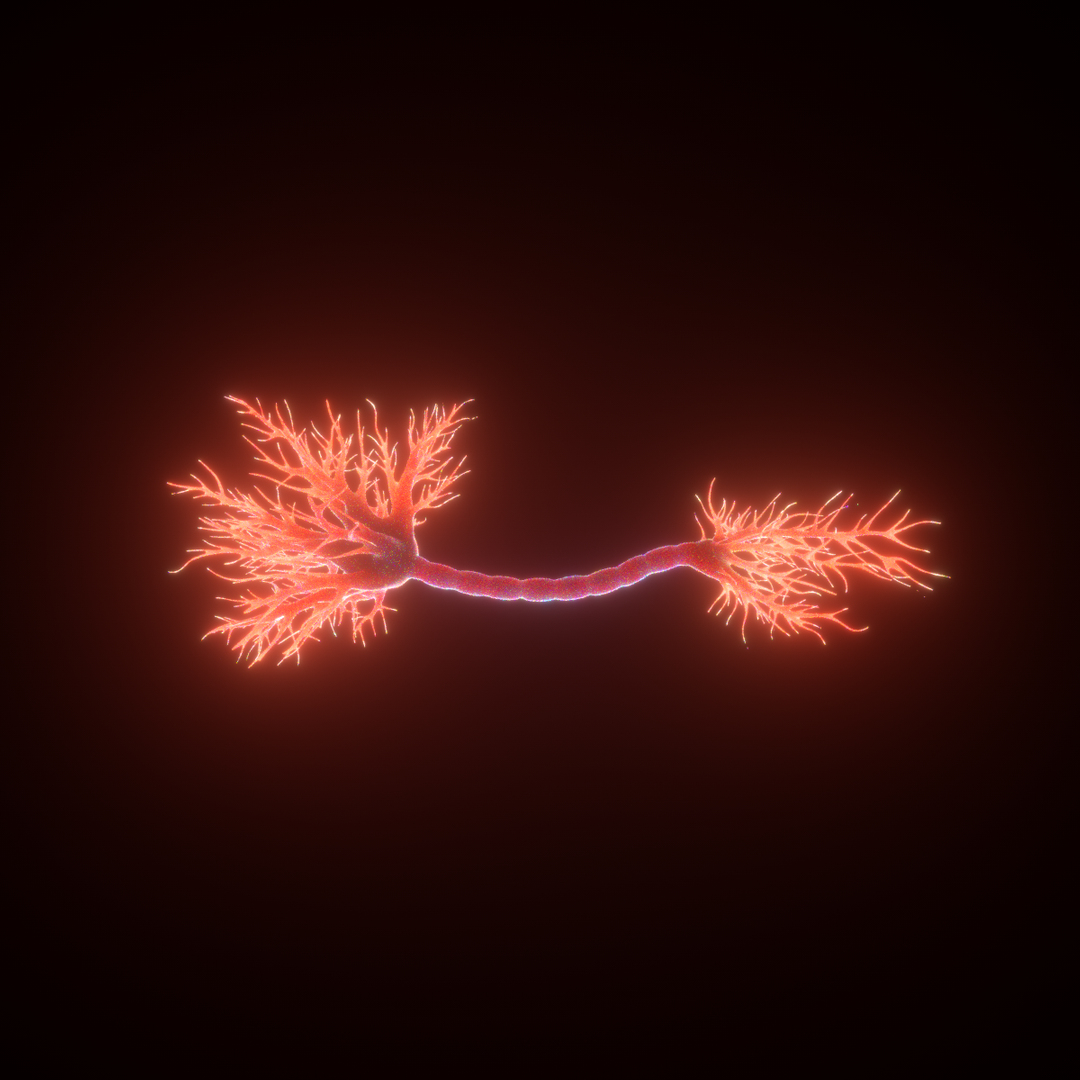 3D Neuron Human Anatomy Model - TurboSquid 1387424