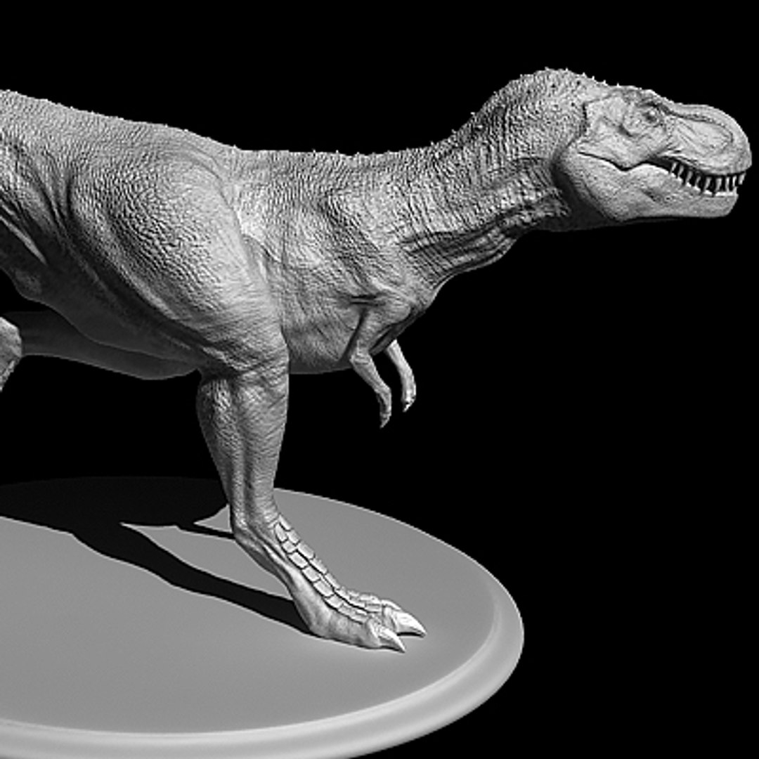 T-rex Rex 3d Model