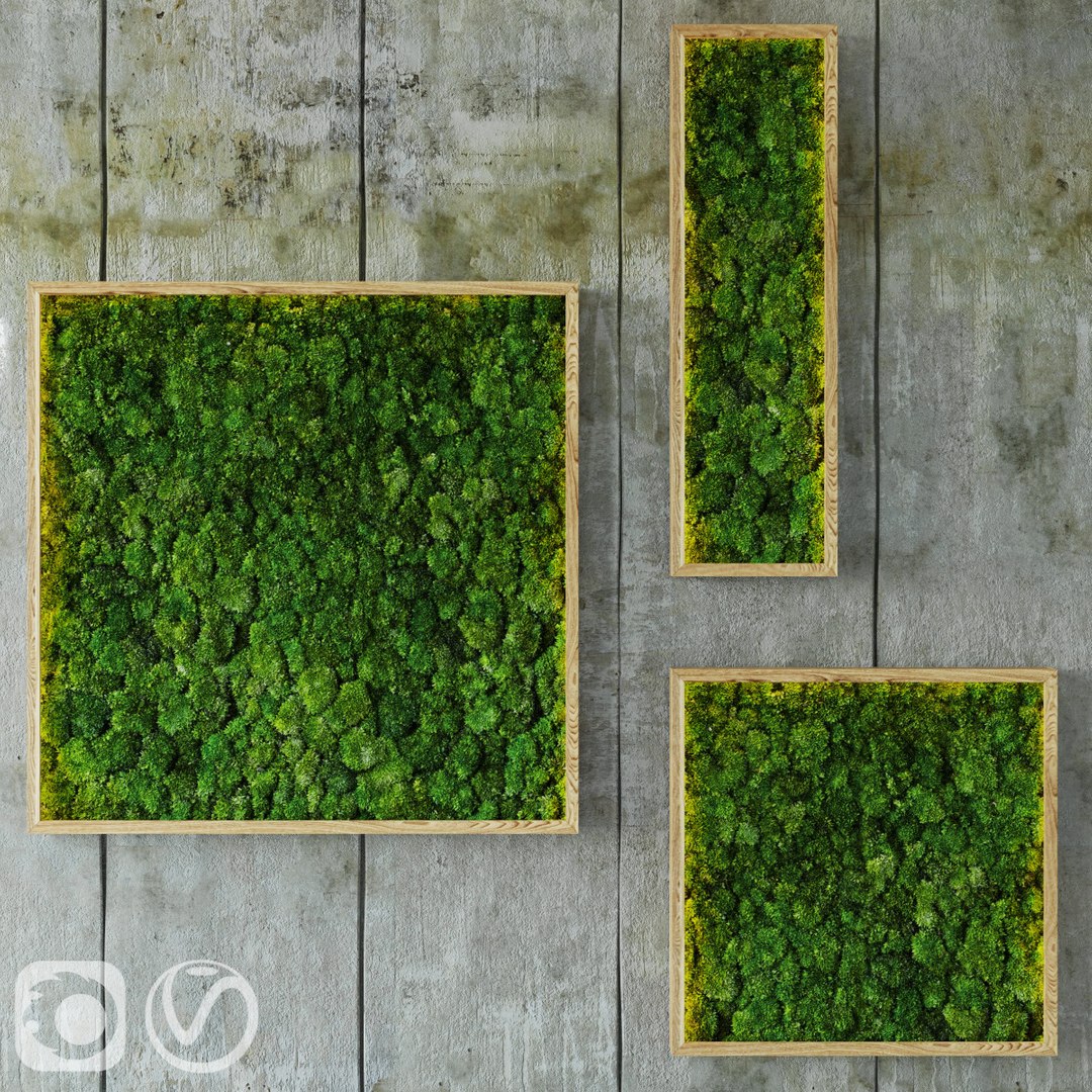 Stabilized moss 3D model - TurboSquid 1277173