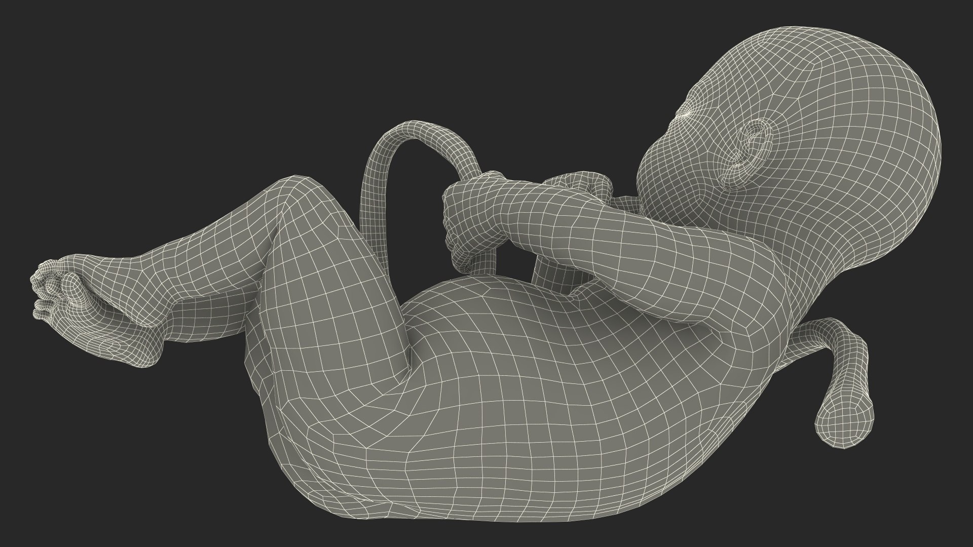 EctoLife Installation Artificial Uterus 3D - TurboSquid 2111858