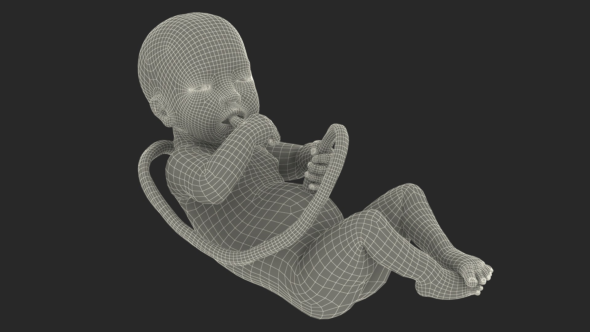 EctoLife Installation Artificial Uterus 3D - TurboSquid 2111858