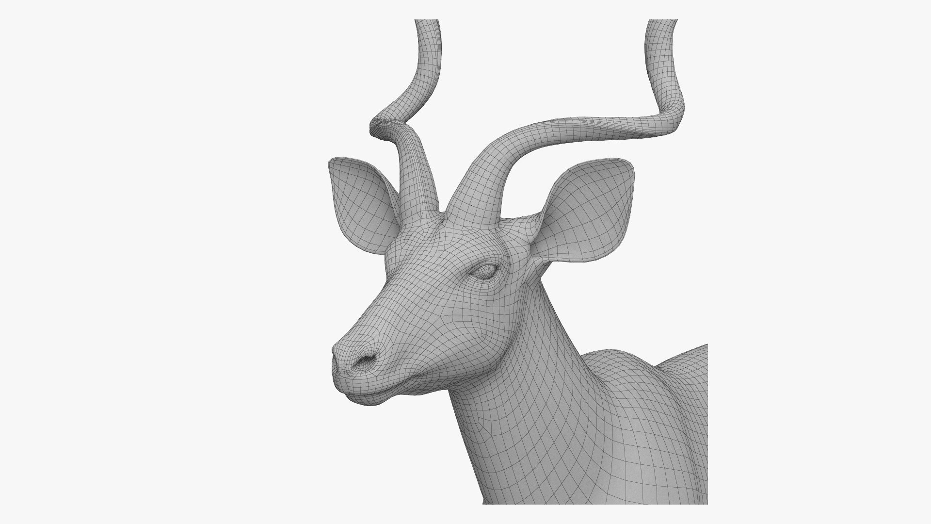 3D Greater Kudu HD model - TurboSquid 2013039