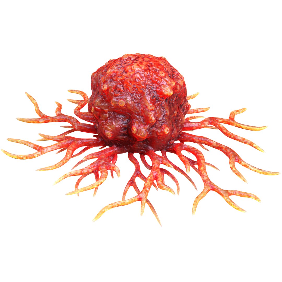 Cancer Cell 3D Model - TurboSquid 1833068
