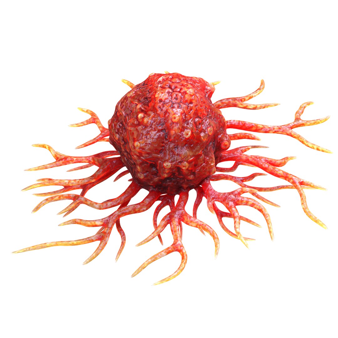 Cancer Cell 3D Model - TurboSquid 1833068