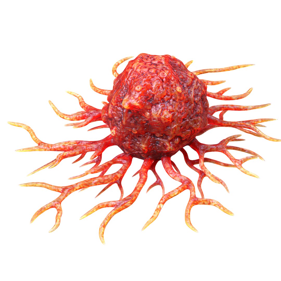 Cancer Cell 3D Model - TurboSquid 1833068